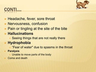 People With Rabies Afraid Of Water