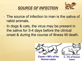 Human With Rabies Symptoms