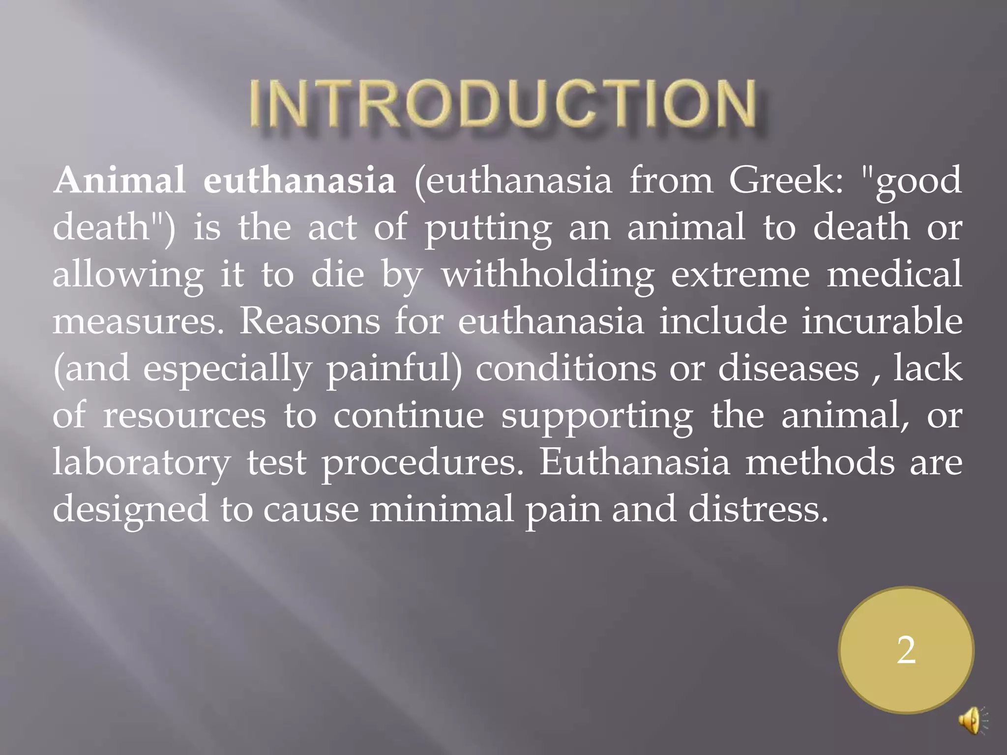 euthansia | PPTX
