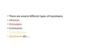 Mycotoxins | PPTX