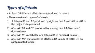 Mycotoxins | PPTX
