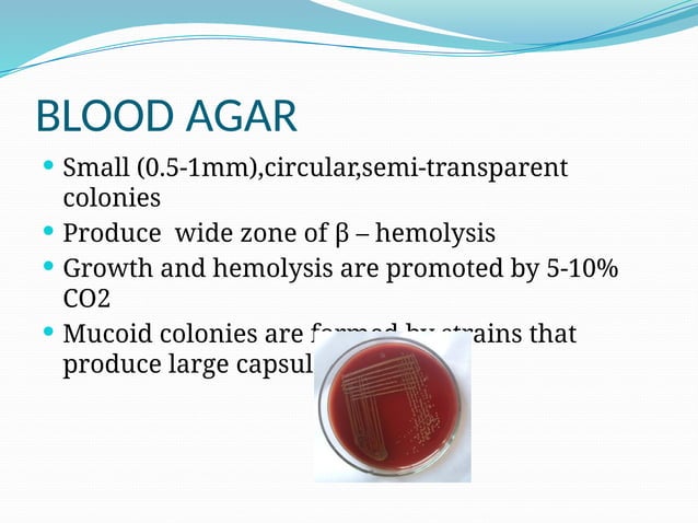 Streptococcus pyogenes ,Introduction,classification | PPT