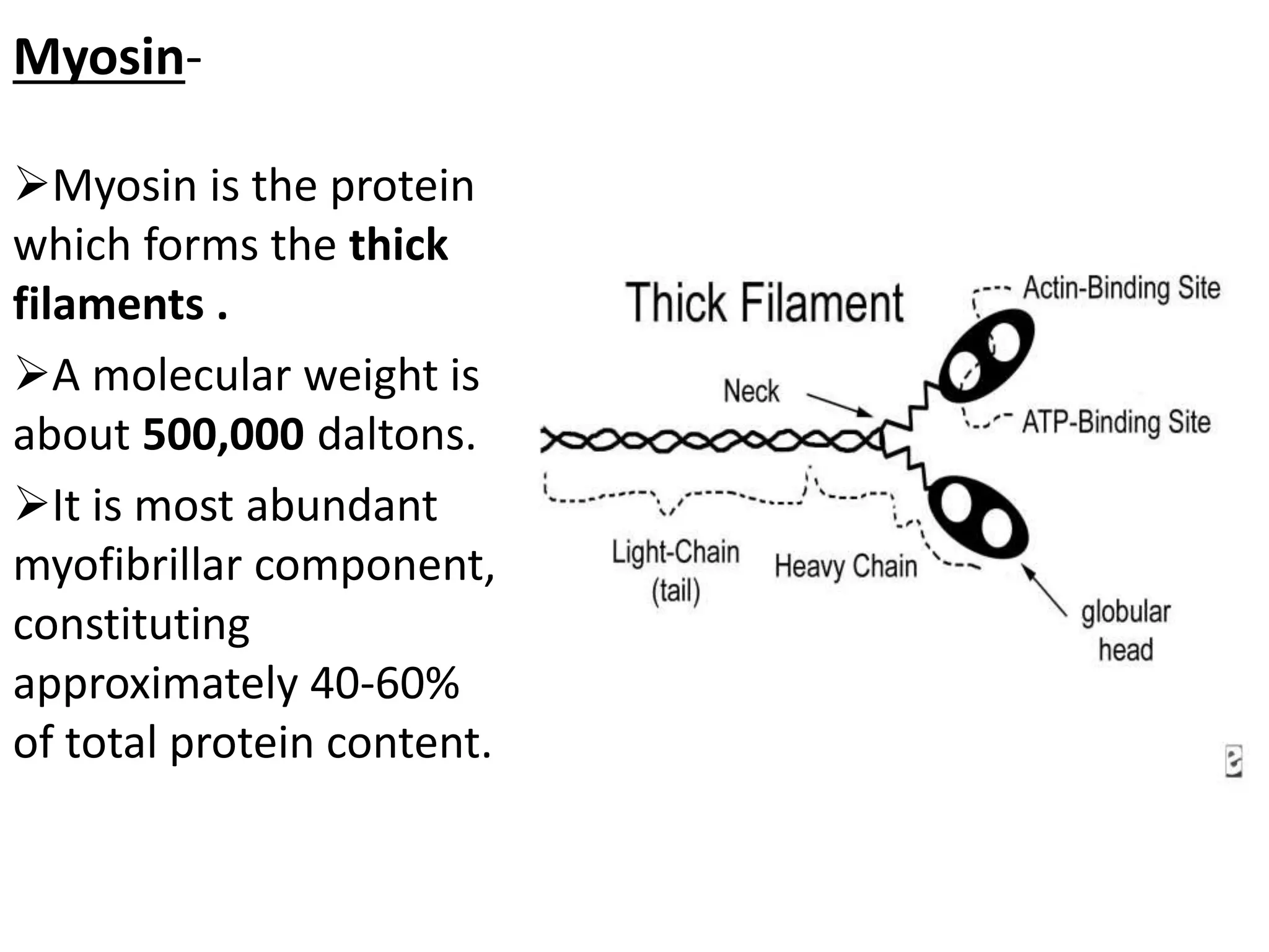 fish proteins | PPTX