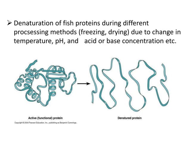 fish proteins | PPTX