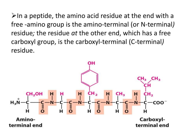 fish proteins | PPTX