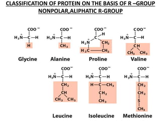 fish proteins | PPTX