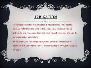 Mesopotamia | PPTX