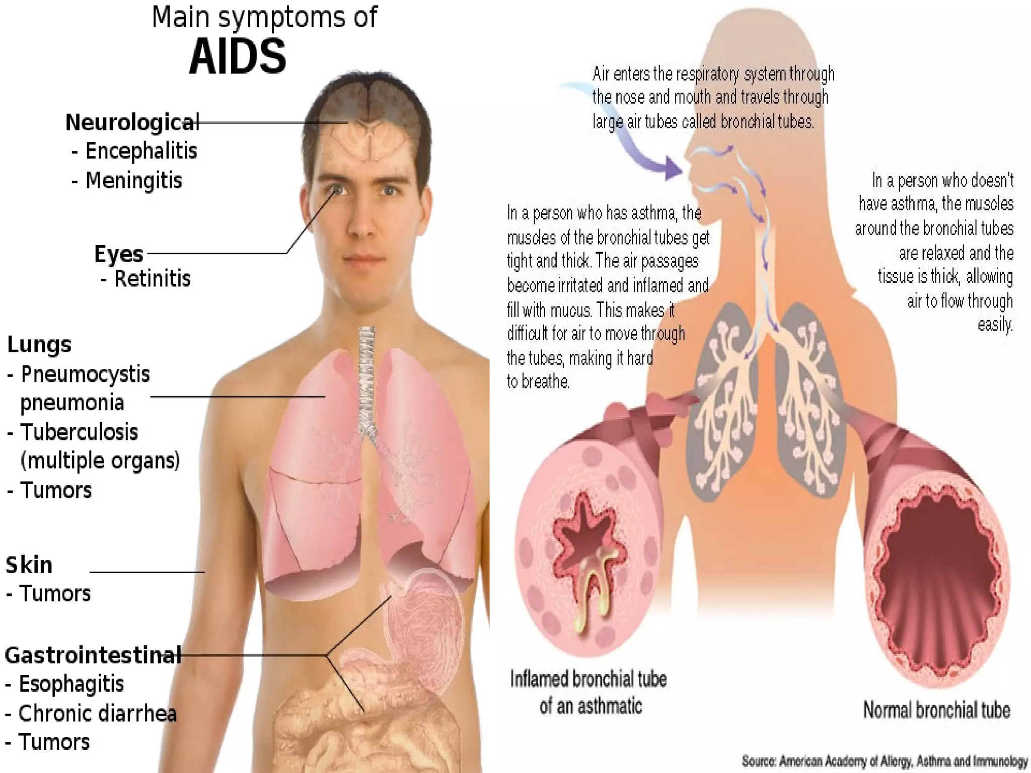 Pooja bhojwani | PPT