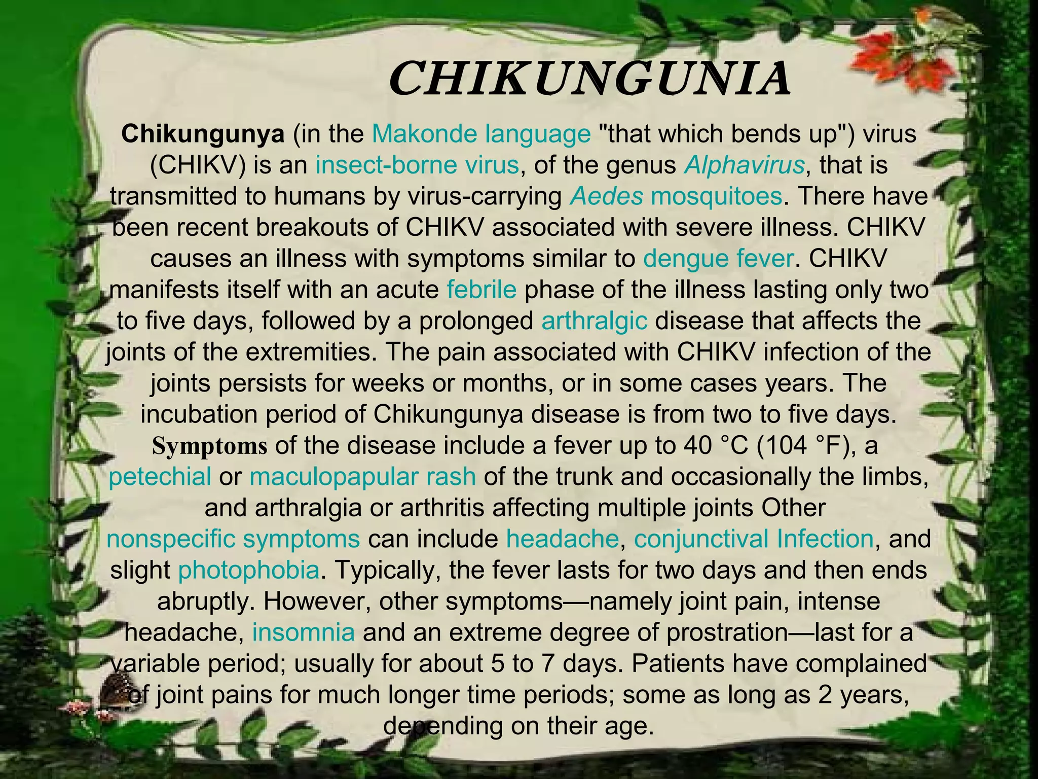 Pooja bhojwani | PPT