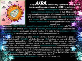 Pooja bhojwani | PPT