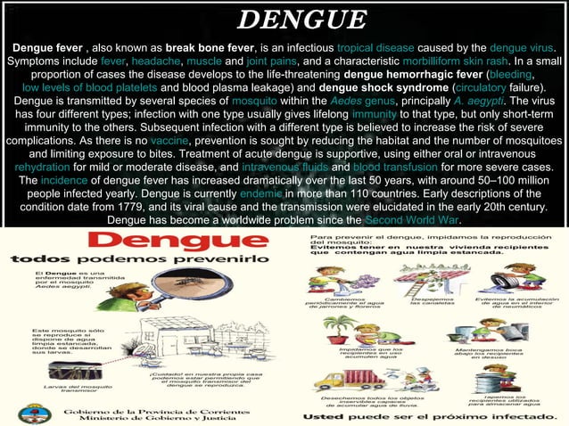 Pooja bhojwani | PPT