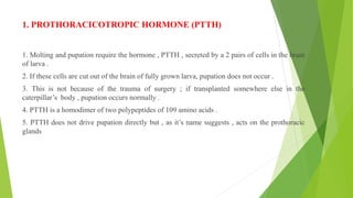 Bio chemistry of plant & insect hormones | PPT