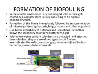 poojafoulingandboring-150927140237-lva1-app6891.pdf