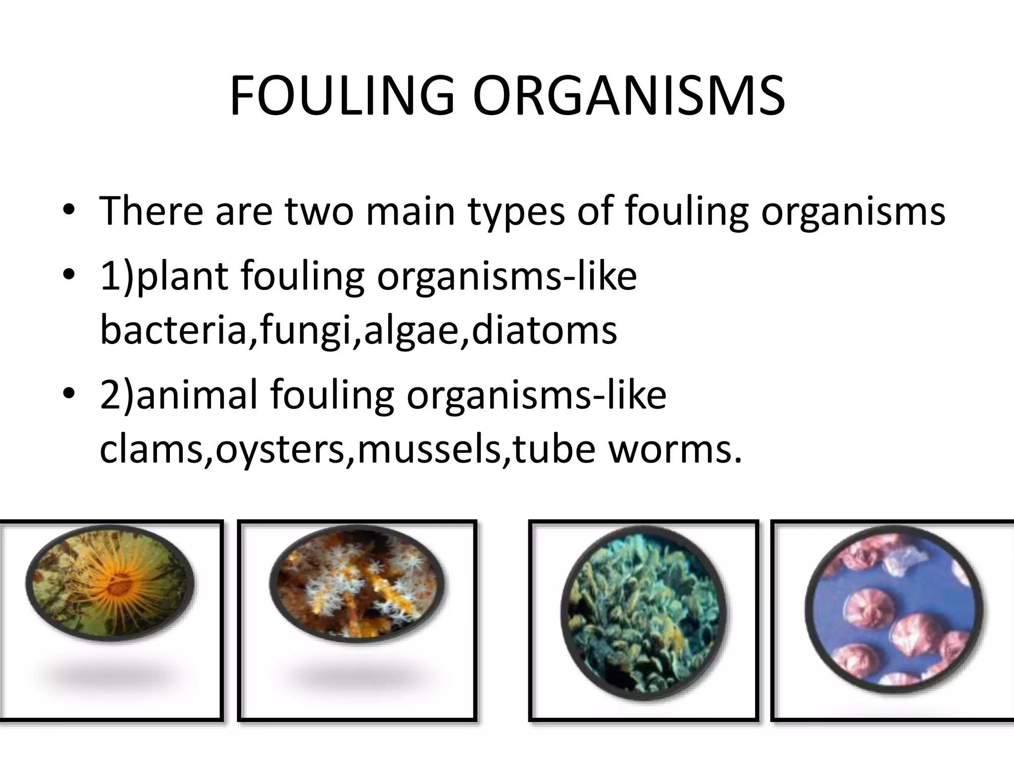 fouling and boring | PPTX