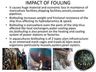 fouling and boring | PPTX