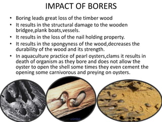 fouling and boring | PPTX