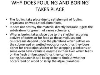 fouling and boring | PPTX