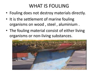 fouling and boring | PPTX