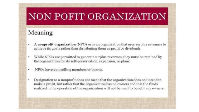 Non profit organsization.pptx