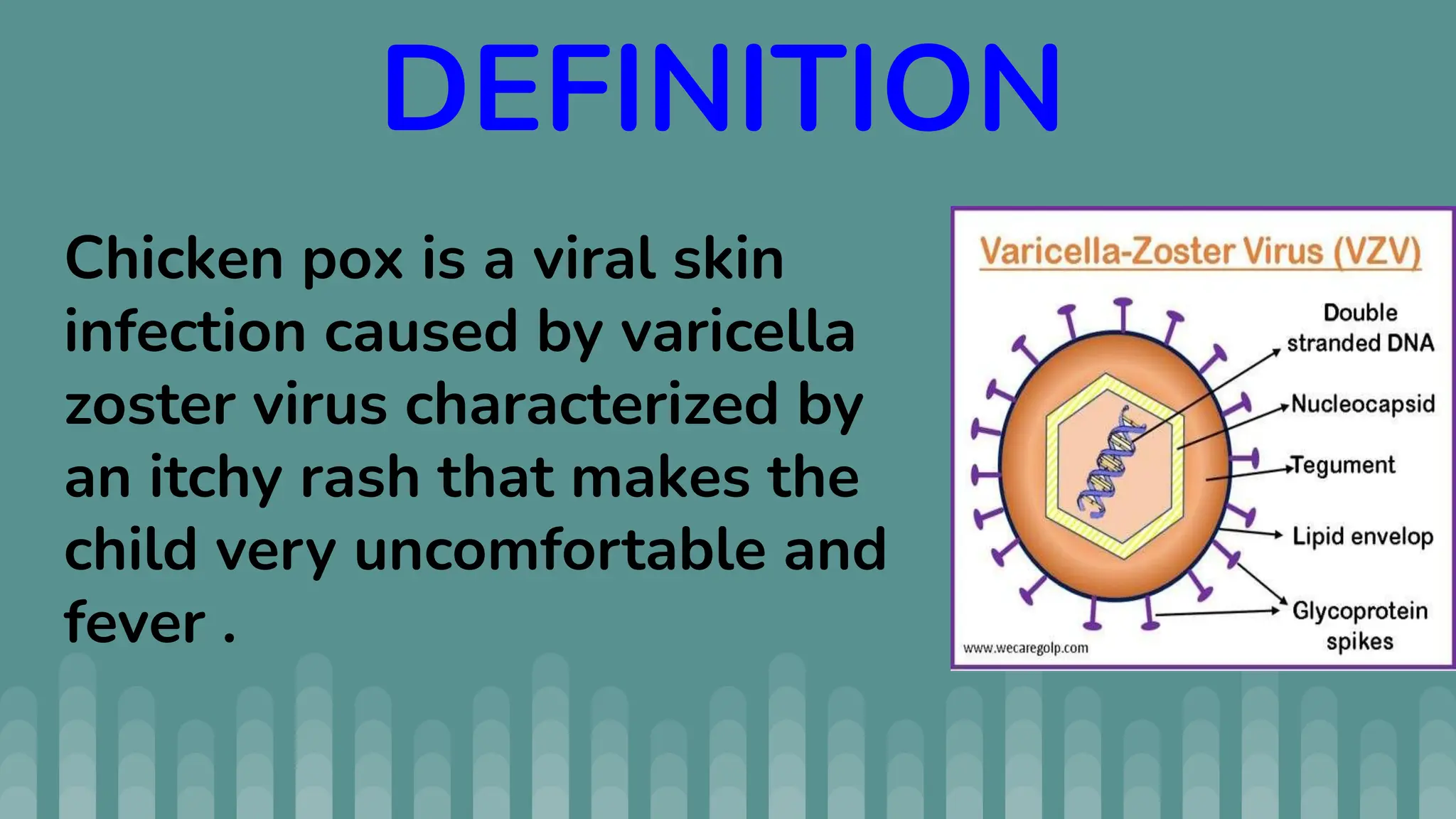 Chicken pox is a disease caused by the varicella zoster virus.it caused ...