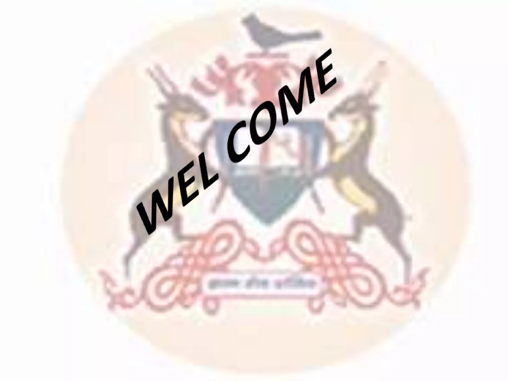 LANGEVIN THEORY Pooja maheshwari | PPTX