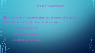 Mycorrhiza soil and agricultural Microbiology | PPT