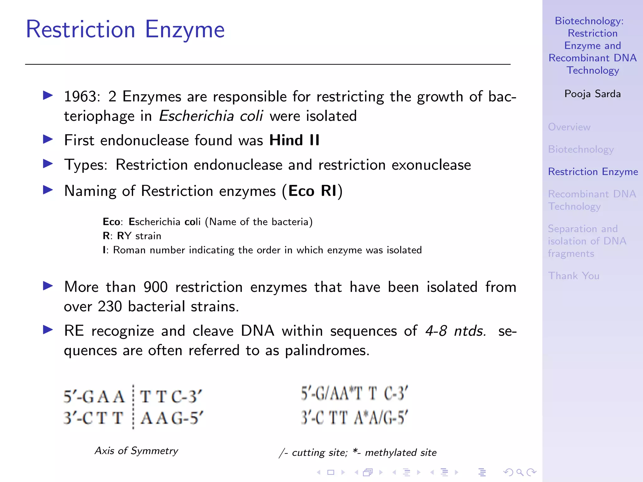 Biotechnology: Restriction Enzyme and Recombinant DNA Technology | PDF
