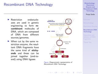 Biotechnology: Restriction Enzyme and Recombinant DNA Technology | PDF