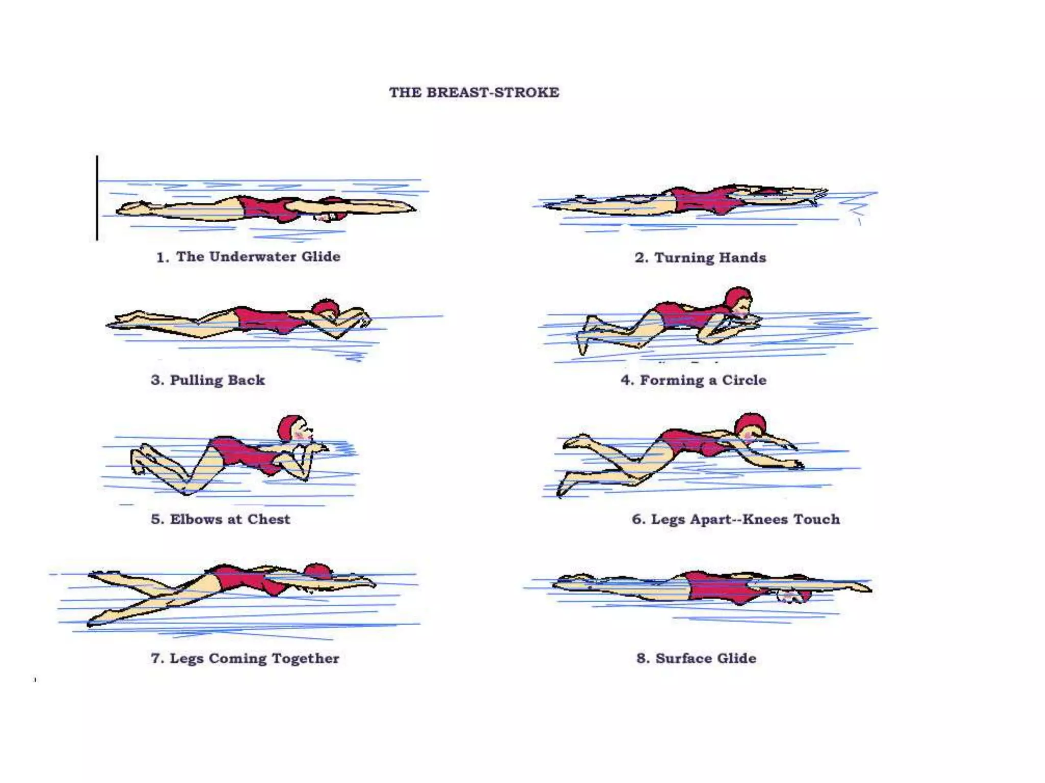 Biomechanics Of Swimming | PPTX