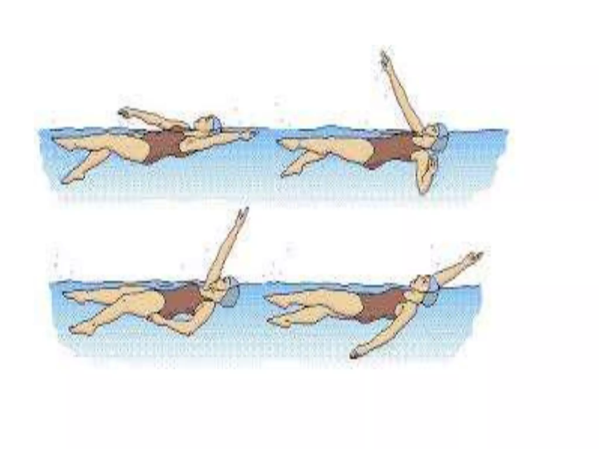 Biomechanics Of Swimming | PPTX