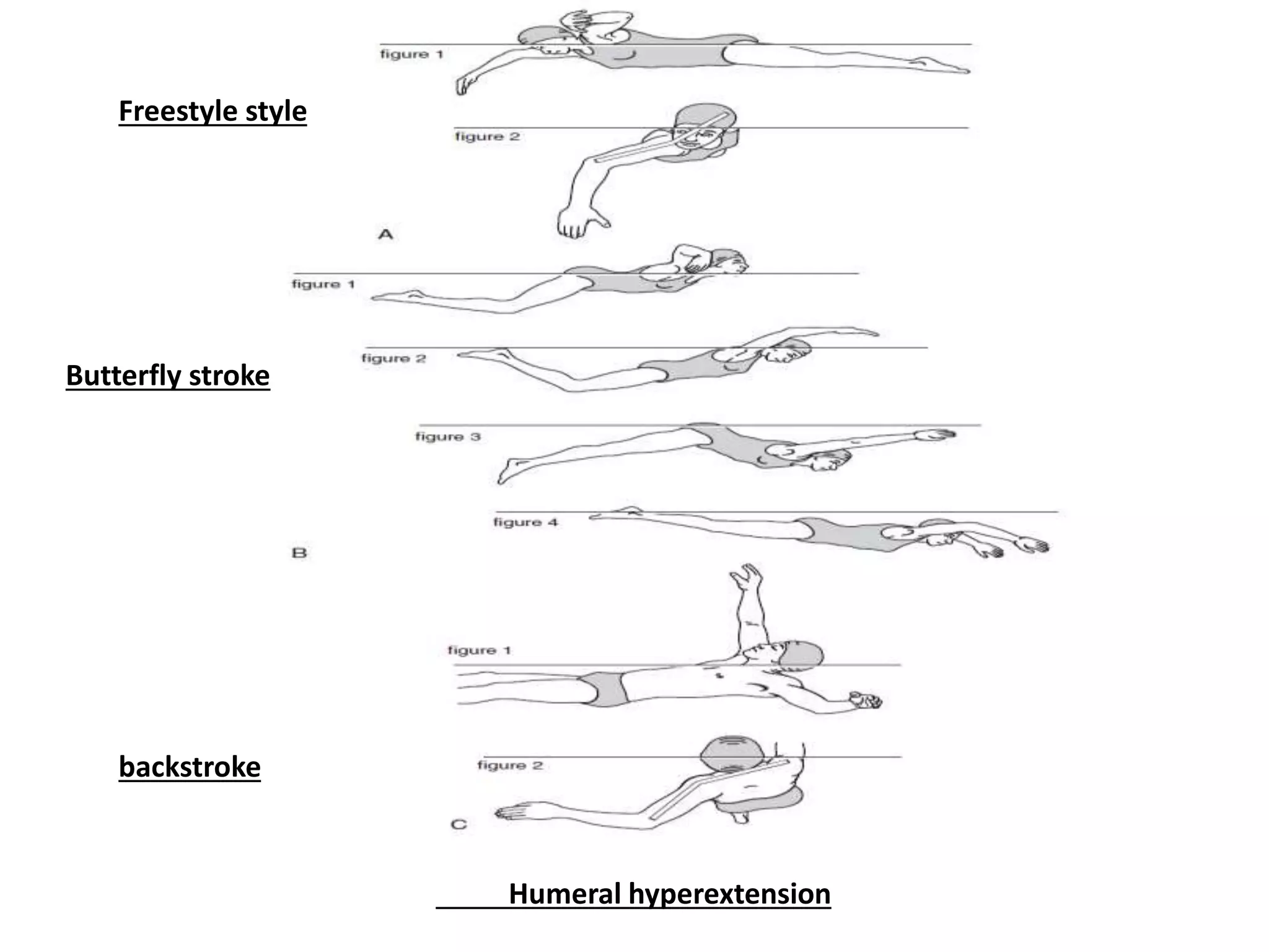 Biomechanics Of Swimming | PPTX