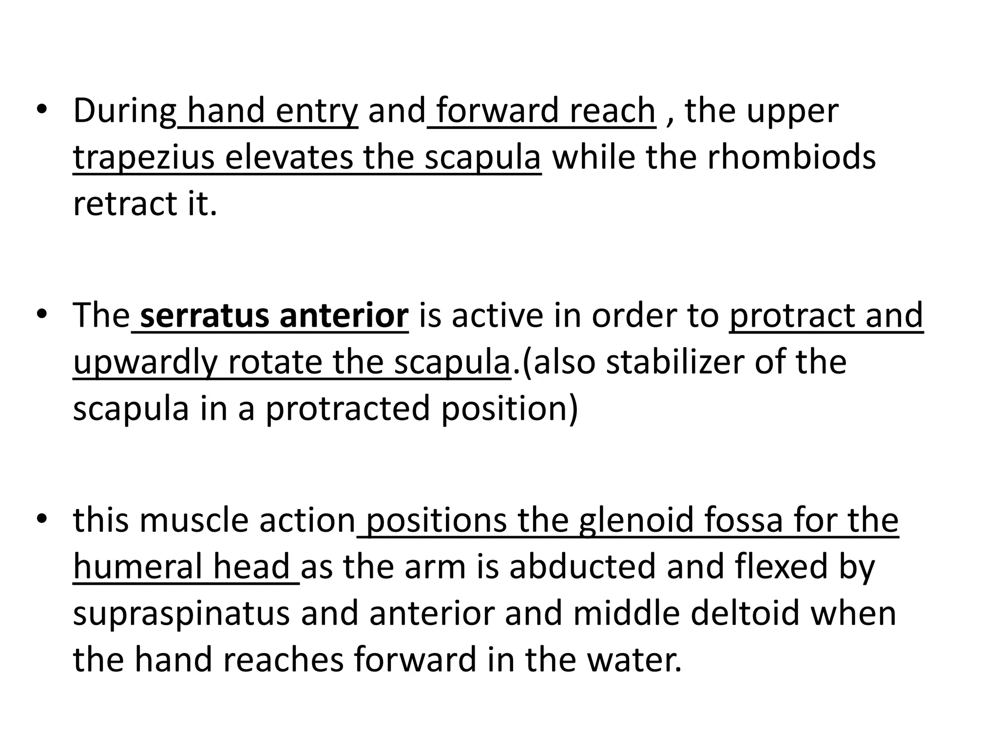 Biomechanics Of Swimming | PPTX