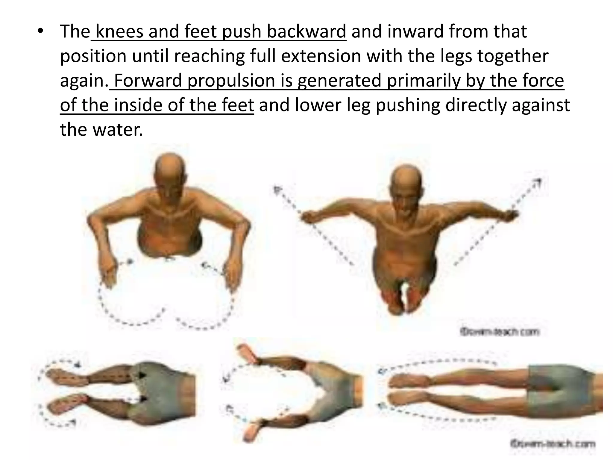 Biomechanics Of Swimming | PPTX