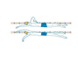 Biomechanics Of Swimming | PPTX