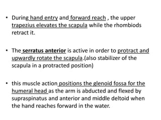 Biomechanics Of Swimming | PPTX