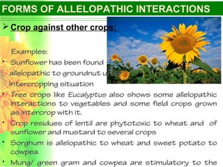 Poonam allelopathy –a tool for weed mgt | PPT