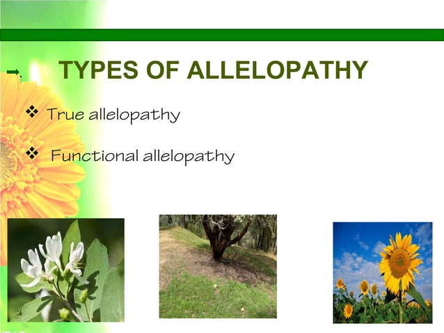 Poonam allelopathy –a tool for weed mgt | PPT | Agriculture | Industries