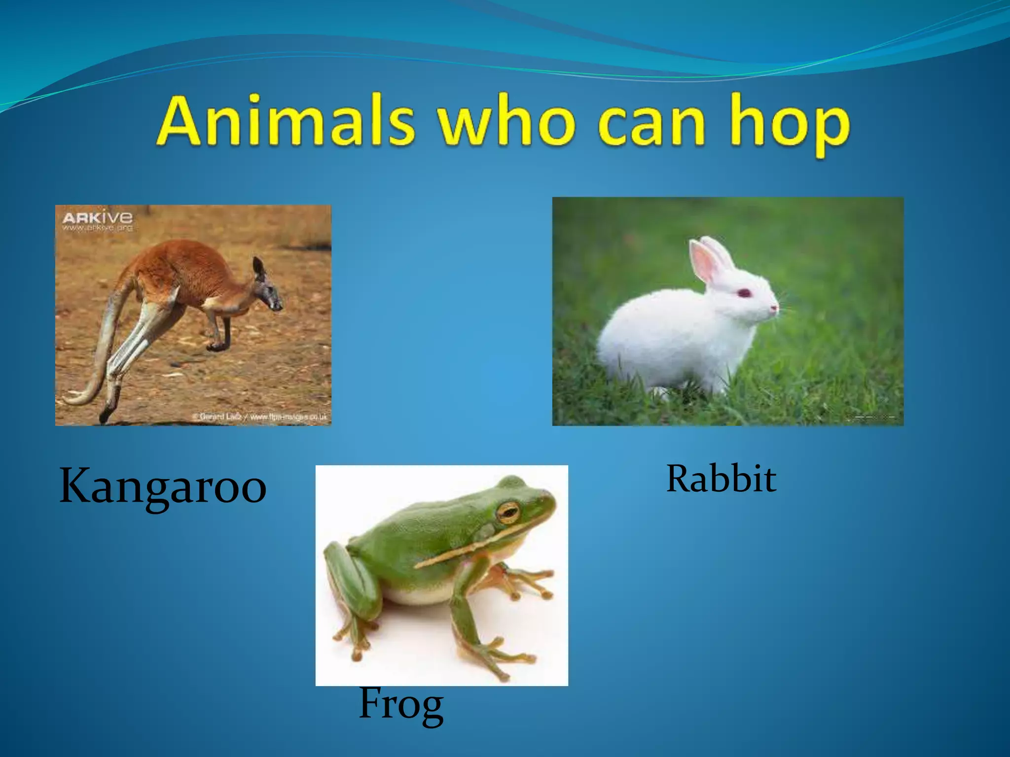 Poonam's day out,class 3 evs | PPTX