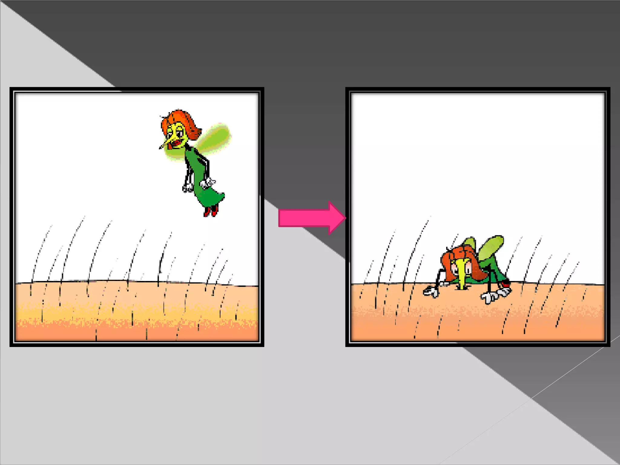 poooo-170224191427 (1).pptx