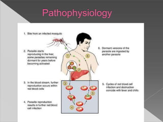 poooo-170224191427 (1).pptx