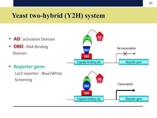 Biomolecular interaction analysis (BIA) techniques | PPSX