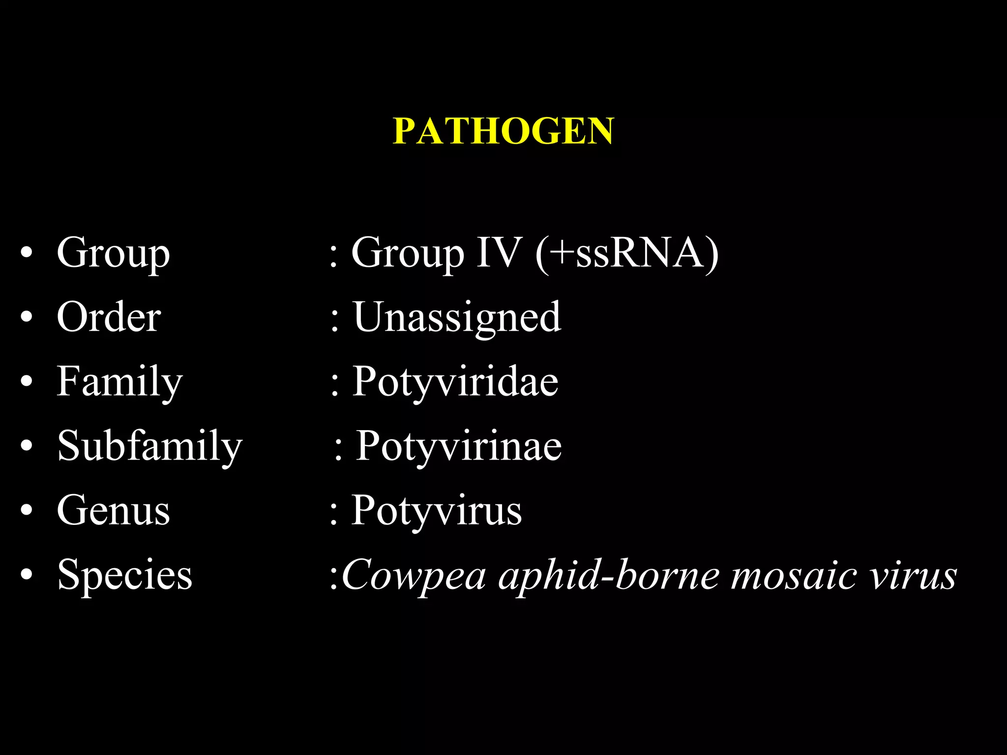 cowpea mosaic virus, cowpea aphid mosaic virus | PPTX