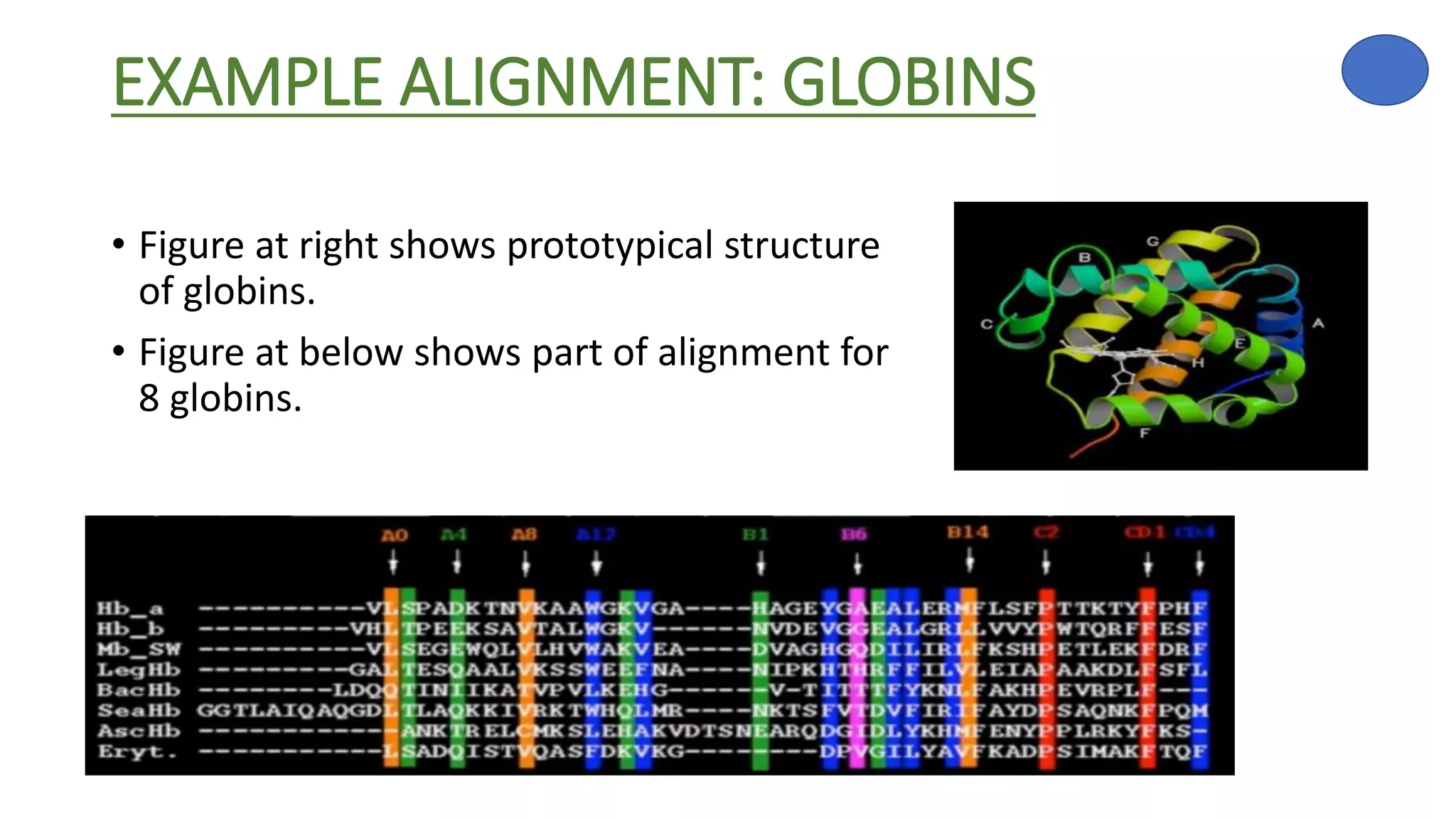 Sequence Alignment | PPTX