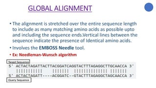 Sequence Alignment | PPTX