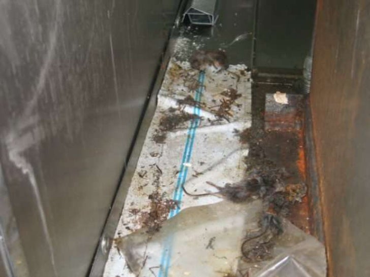 Poor Or Insufficient Maintenance