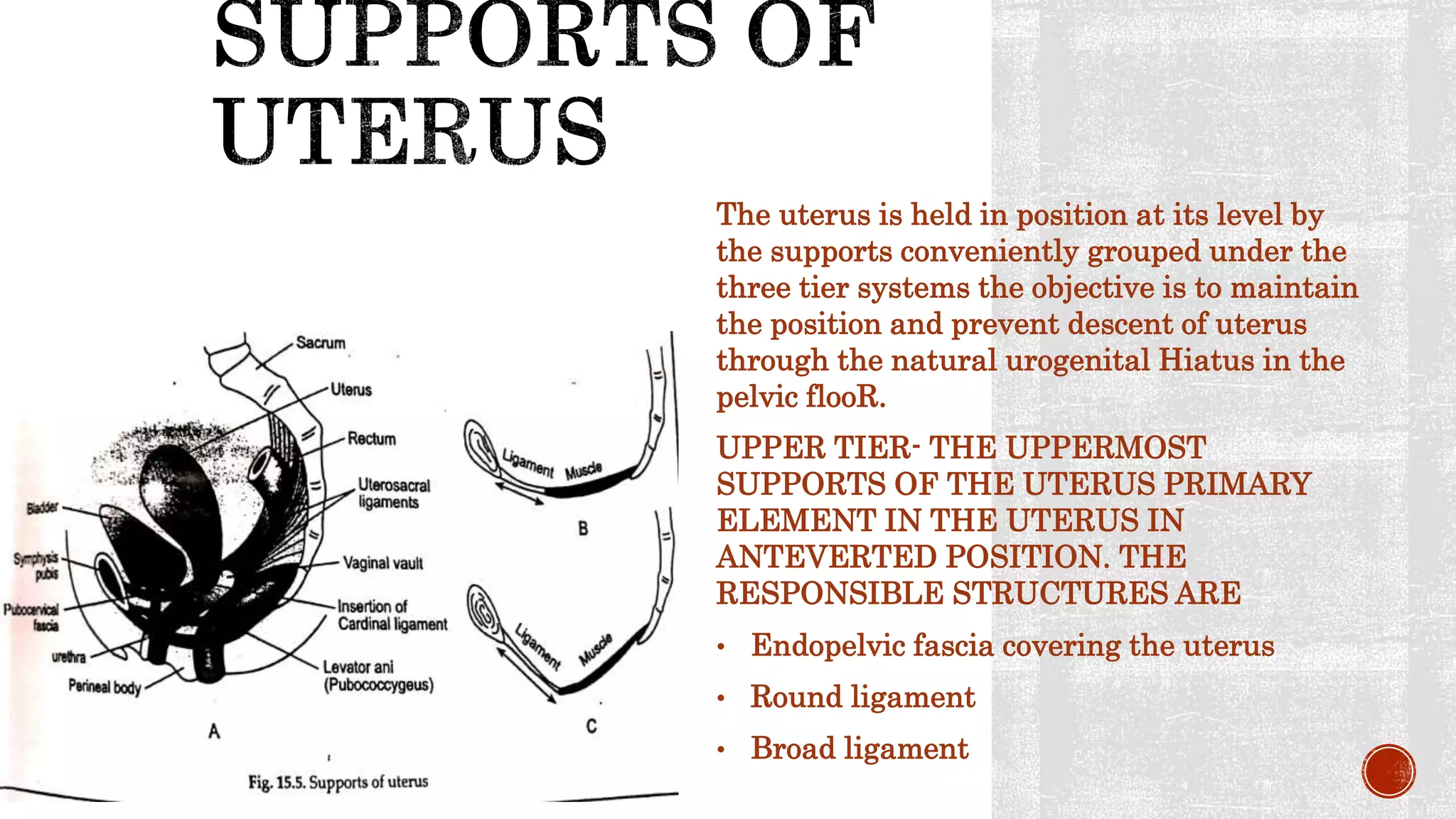 Retroverted uterus | PPTX