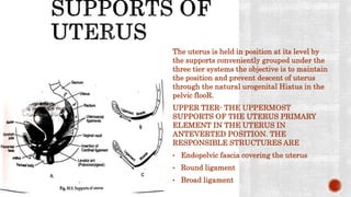 Retroverted uterus | PPTX