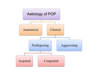 POP.pptx