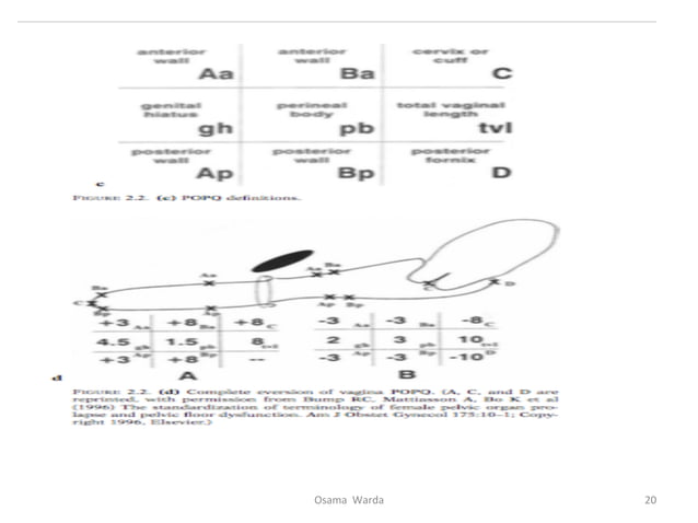 Pop q (new) | PDF | Reproductive Health | Diseases and Conditions