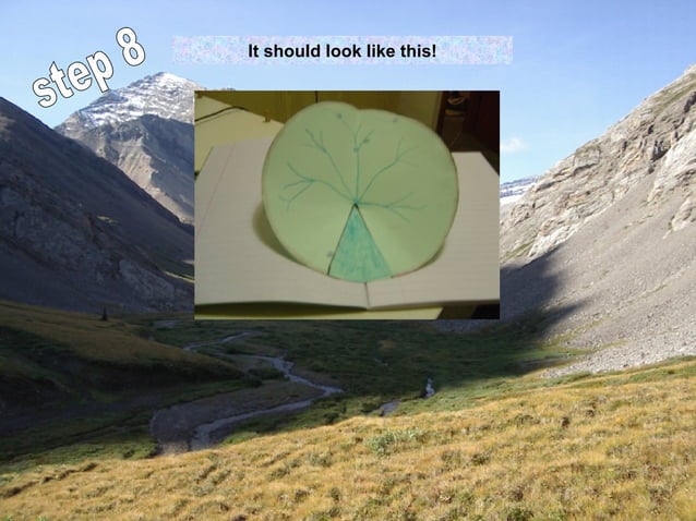 Pop River Basin | PPT